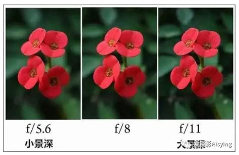 【aisying爱摄影小课堂】一：什么是光圈？光圈的详解与应用 哔哩哔哩