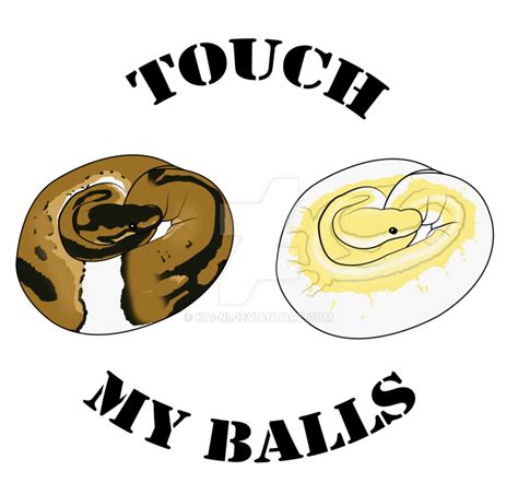 Ball Python Logo Logodix
