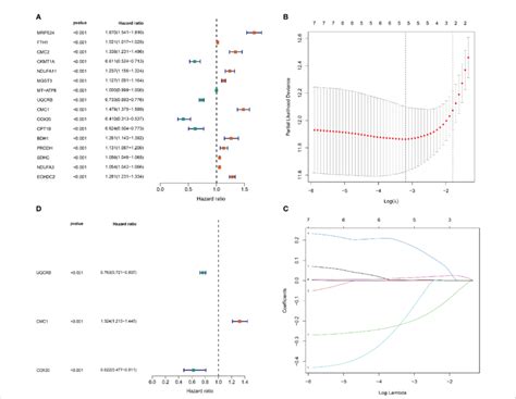 Mitochondrial Associated Differential Gene Prognostic Model