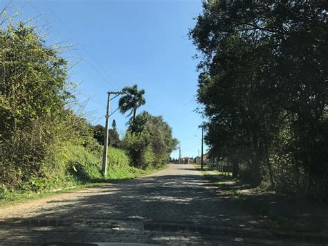 Caminho do Vinho Turismo Rural São José dos Pinhais O que saber antes de ir TripAdvisor