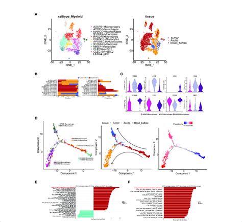 Characteristics Of Myeloid Cells In Distinct Tmes Of Ascites Tumor And