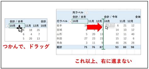 【excel】ドラッグで並び替えができない！ピボットテーブル 列の移動をたまたま解決 nekocaryのit修業場