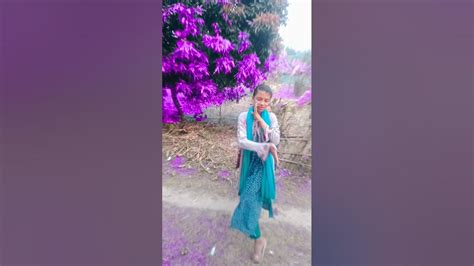 দুষ্টু কোকিল ডাকেরে কুক🥰🧡 Shorts Youtubeshorts Viral Trending New