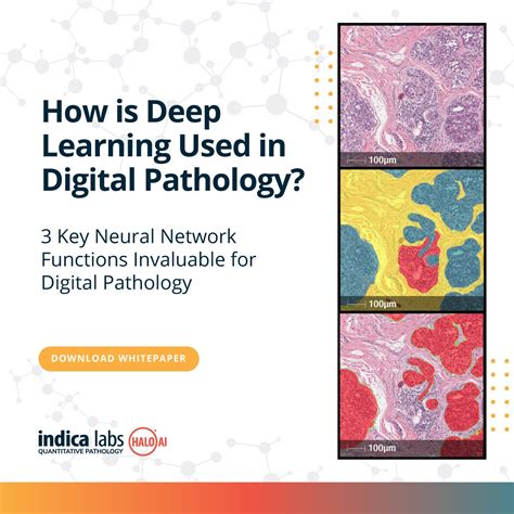 hans zoellner on linkedin [whitepaper] demystifying digital pathology