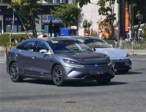Byd Qin L Ev Version Spotted Testing Ahead Of Launch With Possibly