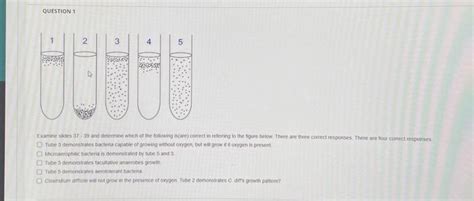 Solved Question 1 Tube 2 Demonstrakes Tacultative Anaerobes