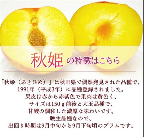 福島県産 とびきり甘いプラム 秋姫 すもも｜yahoo フリマ（旧paypayフリマ）