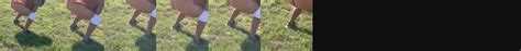 Mandy Outdoor Show September 2022 Voyeur Web