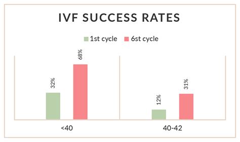 Ivf Understanding Success Rates