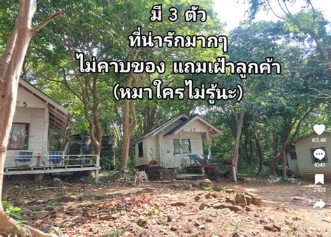 สาวรีวิวที่พักเกาะเสม็ดราคาถูกมาก คืนละ 800 แต่สภาพห้อง มันเกินไปไหม