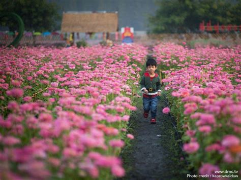 รูปภาพเด็กน่ารัก 09 รูปภาพเด็กน่ารัก