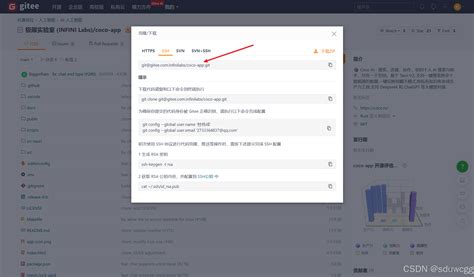 【创新项目实训个人博客】创新实训项目初始化——gitee的使用 gitee创建项目 csdn博客