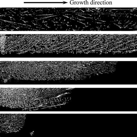 Longitudinal Structures At The Beginning Of The Solidification In
