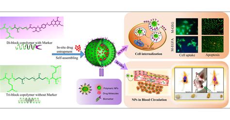 Block Copolymer Based Nanoparticles For Theranostic Intervention Of
