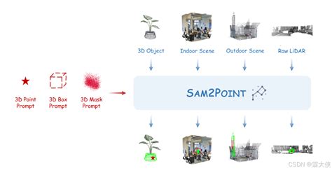 Sam2point：以zero Shot且快速的方式将任何 3d 视频分割为视频 Csdn博客