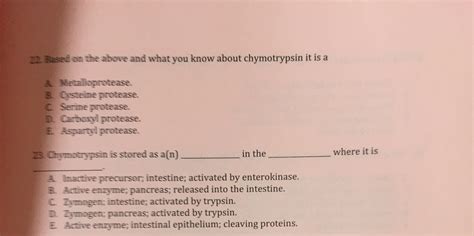 Solved Chymotrypsin Is An Enzyme That Catalyzes The