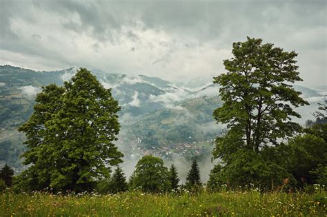 푸른 하늘과 함께 화창한 날에 피는 신선한 녹색 초원과 전통적인 오래된 산 샬레가 있는 알프스의 목가적인 산 풍경의 아름다운 전망 0명에 대한 스톡 사진 및 기타 이미지