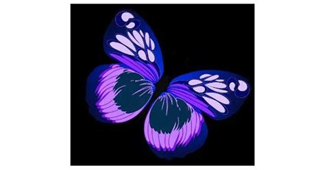 Teresa Delph Obituary 2024 Pennington Gap Va Pennington Gap Funeral Home Formerly