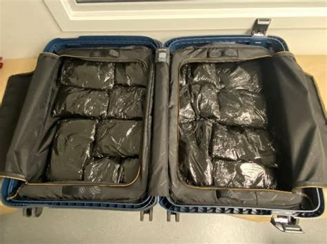 Customs Seize 63kg Of Drugs In Airport Busts Inside Government Nz