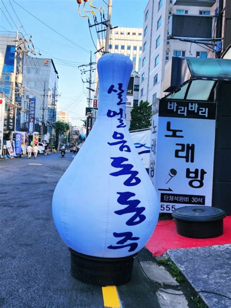 강남역 전집 유가네전사랑 살얼음 동동주가 있는 강남역 막걸리 네이버 블로그