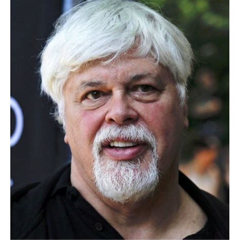 Paul Watson Actualités Dernières Informations Sur Paul Watson