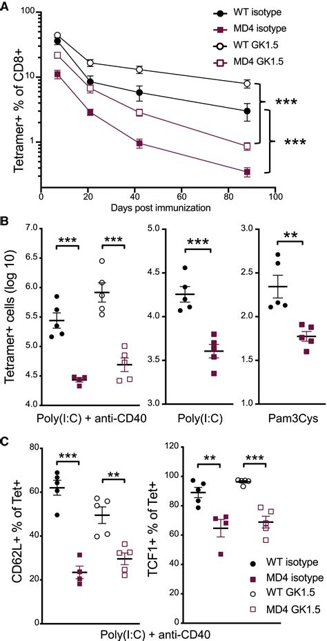 B Cells Promote Cd8 T Cell Primary And Memory Responses To Subunit Vaccines Cell Reports