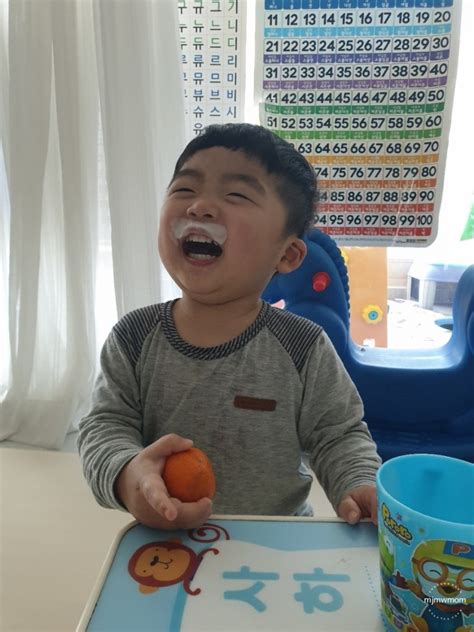 21개월 아기 발달사항 걷는게 즐거워 블록쌓기 친구와 함께 사회성 발달 대근육 소근육 언어인지발달