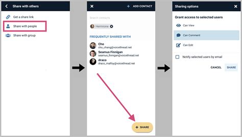 Sharing With An Individual Voicethread
