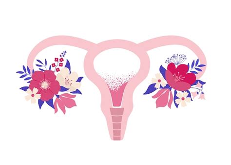 Premium Vector Female Reproductive System With Flowers