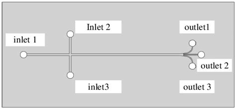 Schematic Diagram Of Designed Hydrodynamic Focusing Microfluidic Chip