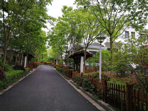 良渚瑶山书院 瑶山书院 杭州瑶山书院 大山谷图库