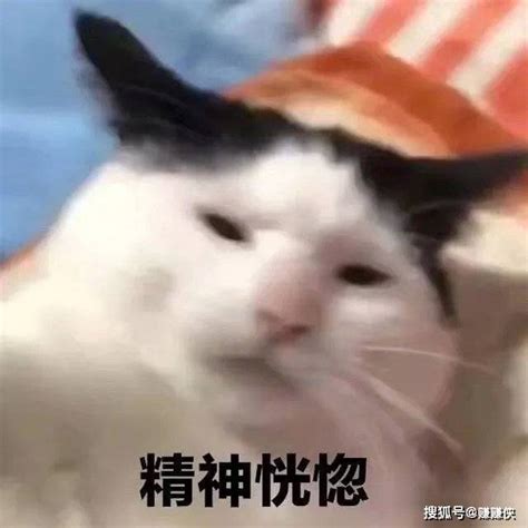 搞笑表情包图片：你害怕的时候会这样吗 搜狐大视野 搜狐新闻