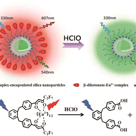Design Concept Of A Ratiometric Luminescence Probe Based On Crown Like