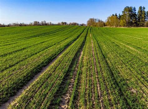 Poland Management Of State Owned Land In Q