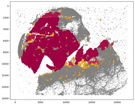 2 tumor proliferation analysis — spatialcells 1 0 1 documentation