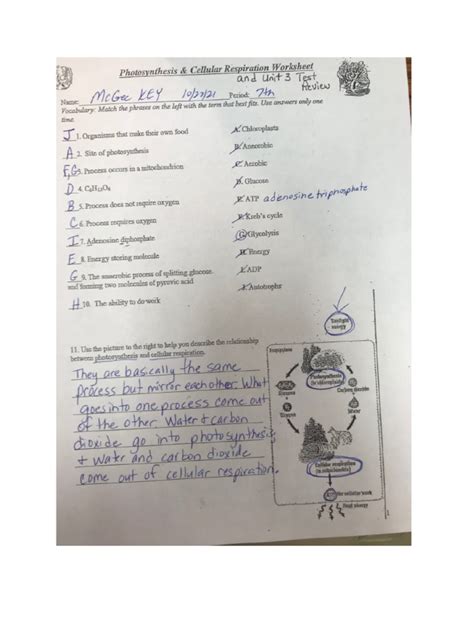 Unit 4 Review Key Pdf