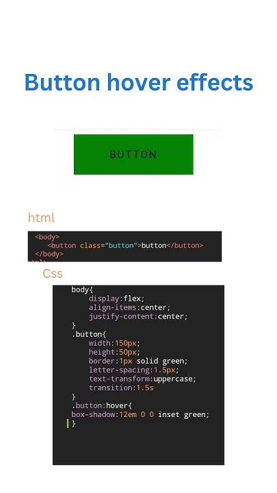 Button Hover Effects Html Webdesign Css Frontend Webdevelopment