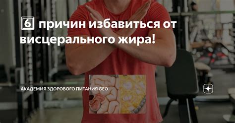 6️⃣ причин избавиться от висцерального жира Академия здорового питания Geo Дзен