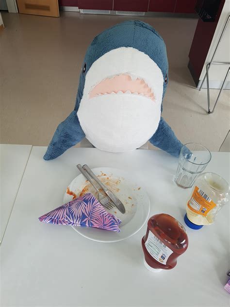 moma made me dinner : r/BLAHAJ