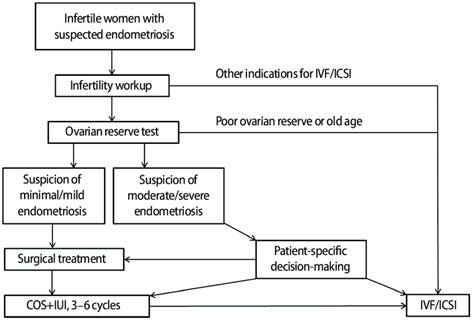 Algorithm For Decision Of Treatment Method Ivf In Vitro Download