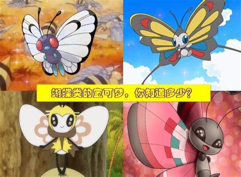 这些蝴蝶类宝可梦，你知道多少？ 知乎