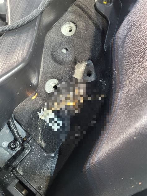 노원구 스포티지 자동차 실내크리닝 구토 세차 네이버 블로그