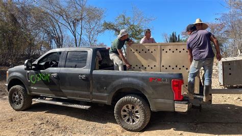 Roban vehículo de rescate del Santuario Ostok en medio de la violencia