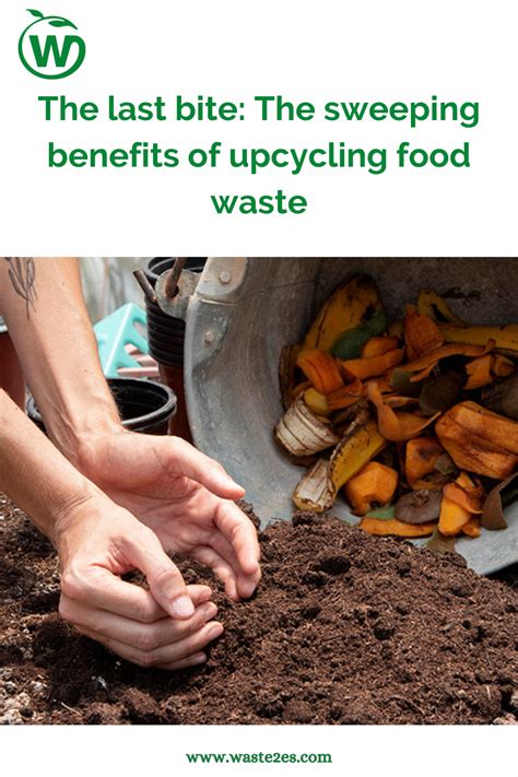 Waste Food Artofit