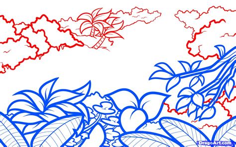 Easy Drawing Of Tropical Rainforest Although Only 7 Of The Land