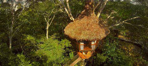 Tree House Lodge Iquitos Peru
