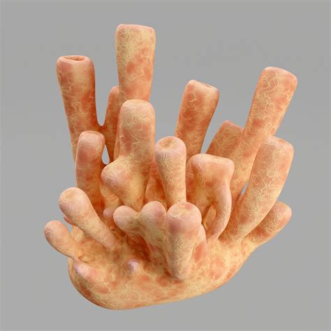 Epr Cellulaire Modèle 3d 5 Max Free3d