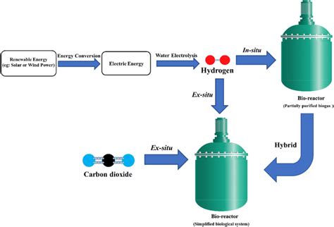 In Situ Ex Situ And Hybrid Systems Used For Microbiological Biogas