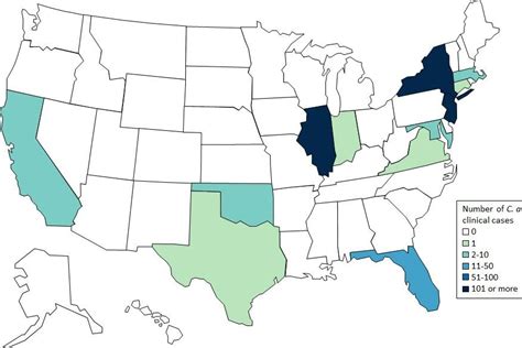 Cdc 600 Cases Of A Deadly Drug Resistant Fungus Reported