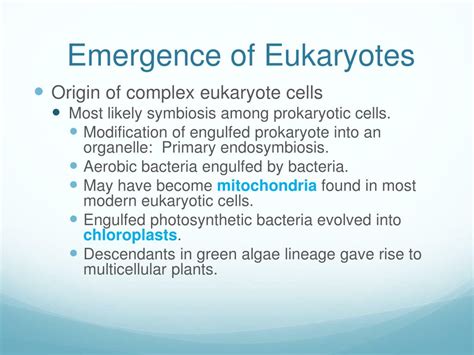 Ppt Unicellular Eukaryotes Powerpoint Presentation Free Download Id 6138727